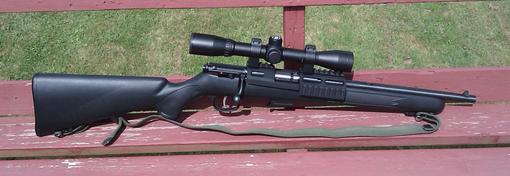 Post photos of you favorite .22 rifles... | Page 12 | Survivalist Forum